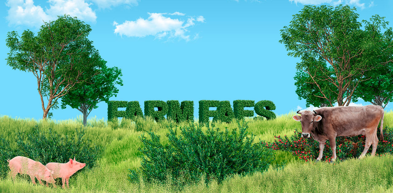 We are FARM FAES | farmfaes.com